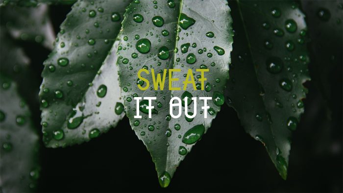 Primal Roots visual identity, by Lantern, London | Identity Designed