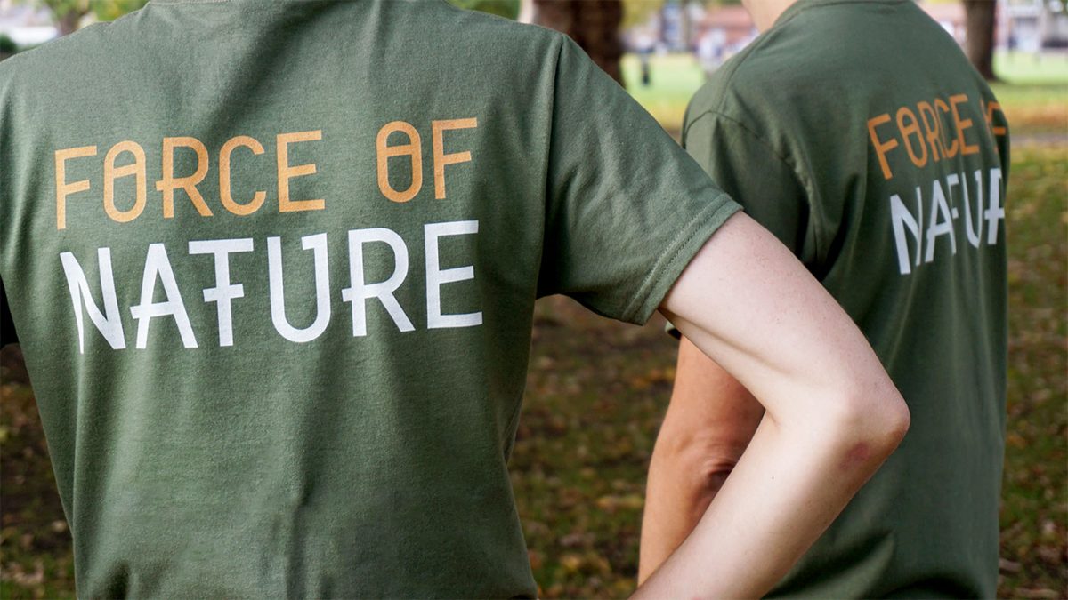 Primal Roots visual identity, by Lantern, London | Identity Designed