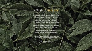 Primal Roots visual identity, by Lantern, London | Identity Designed