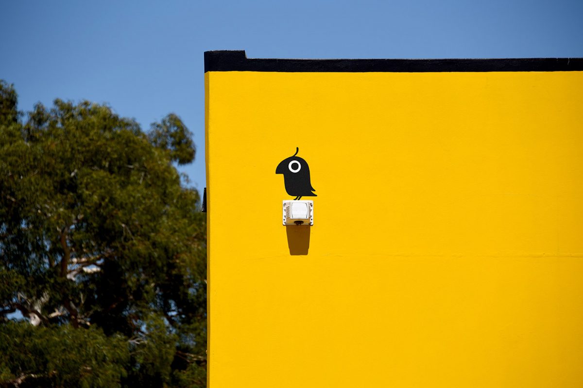 Petbarn visual identity, by Landor | Identity Designed