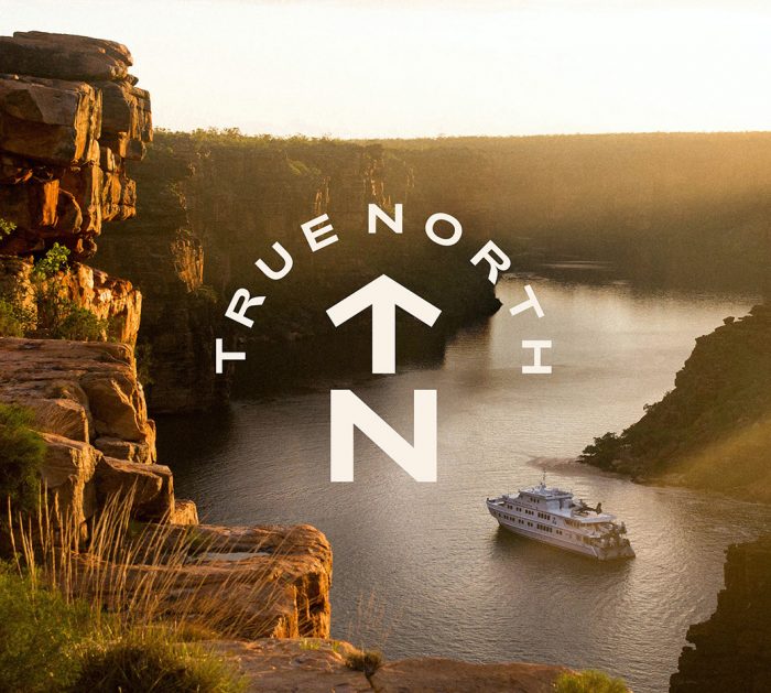 Benugo - Identity Designed