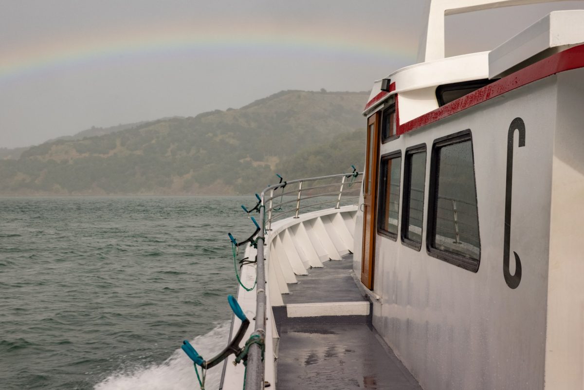 Big C Charters, logo and brand identity, by Mucho | Identity Designed