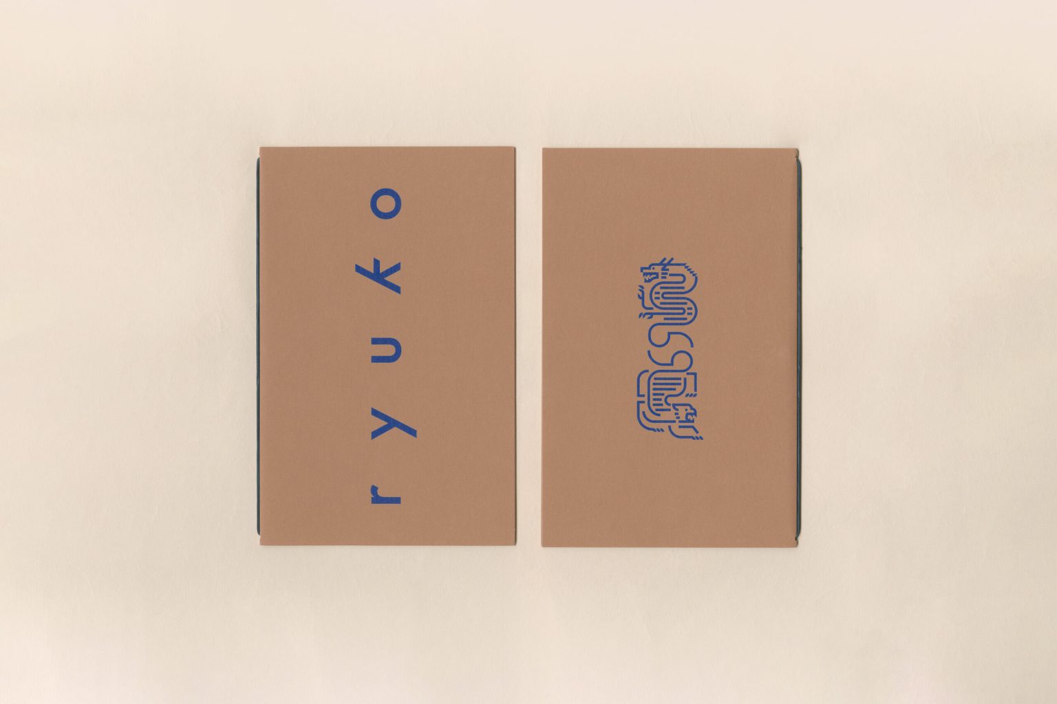Ryuko, logo and visual identity | Identity Designed
