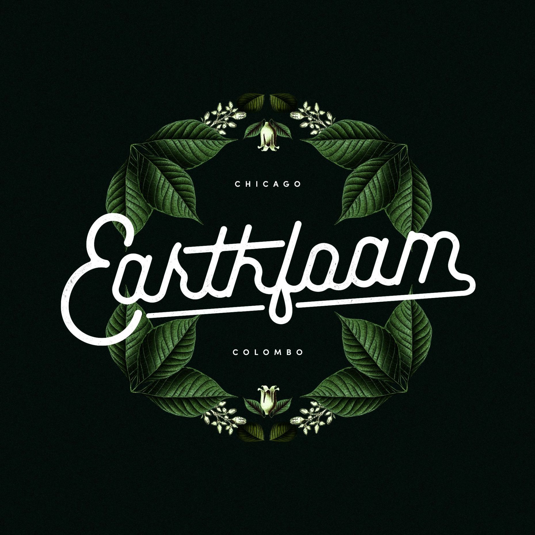 Earthfoam identity by Michael Mitzman | Identity Designed