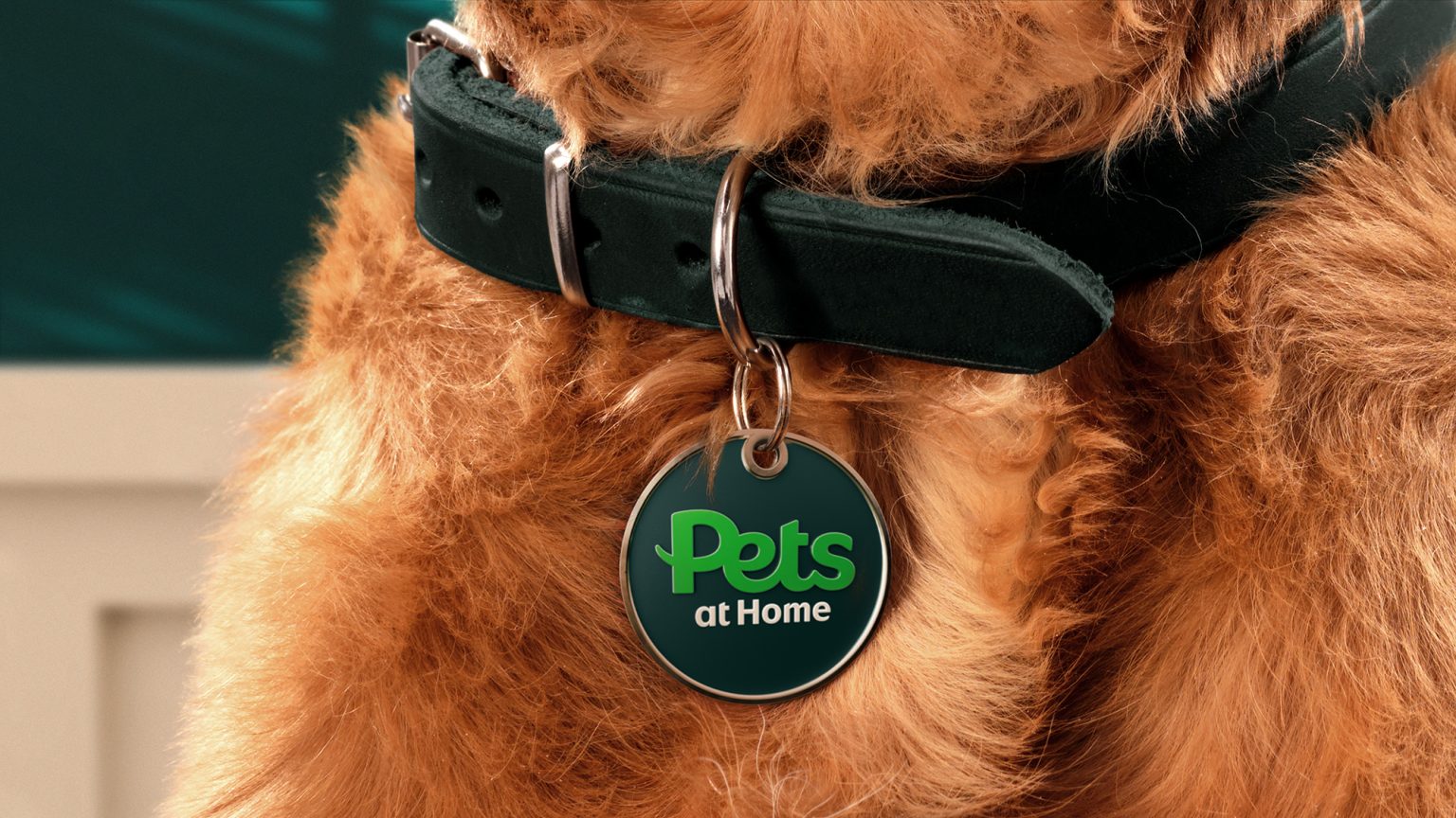 Pets at Home logo and identity by Nomad | Identity Designed